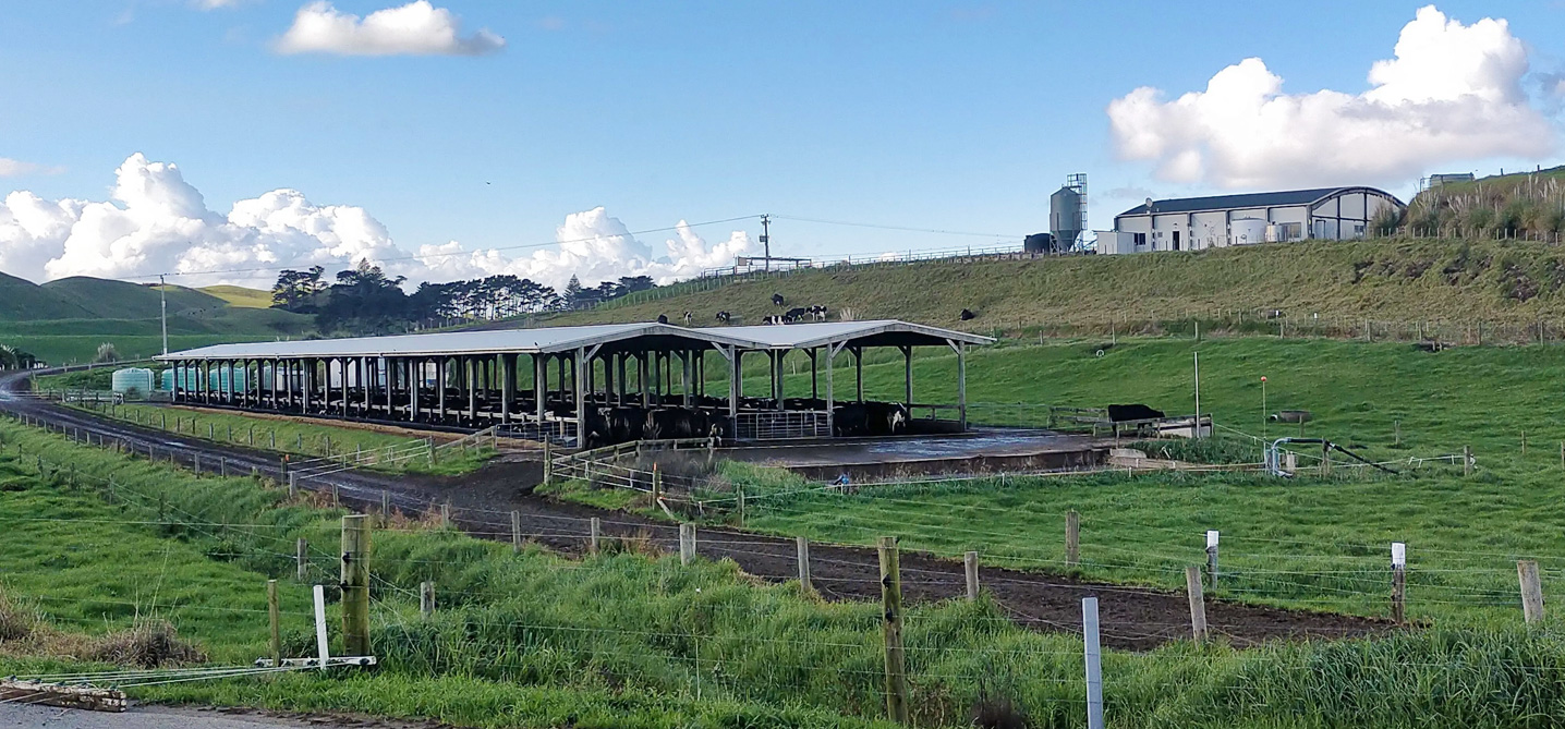 SenseHub Dairy cow collars optimise farm operations