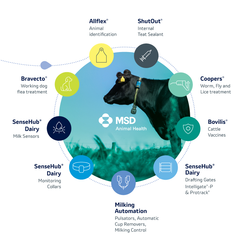 MSD Animal Health - SenseHub Dairy