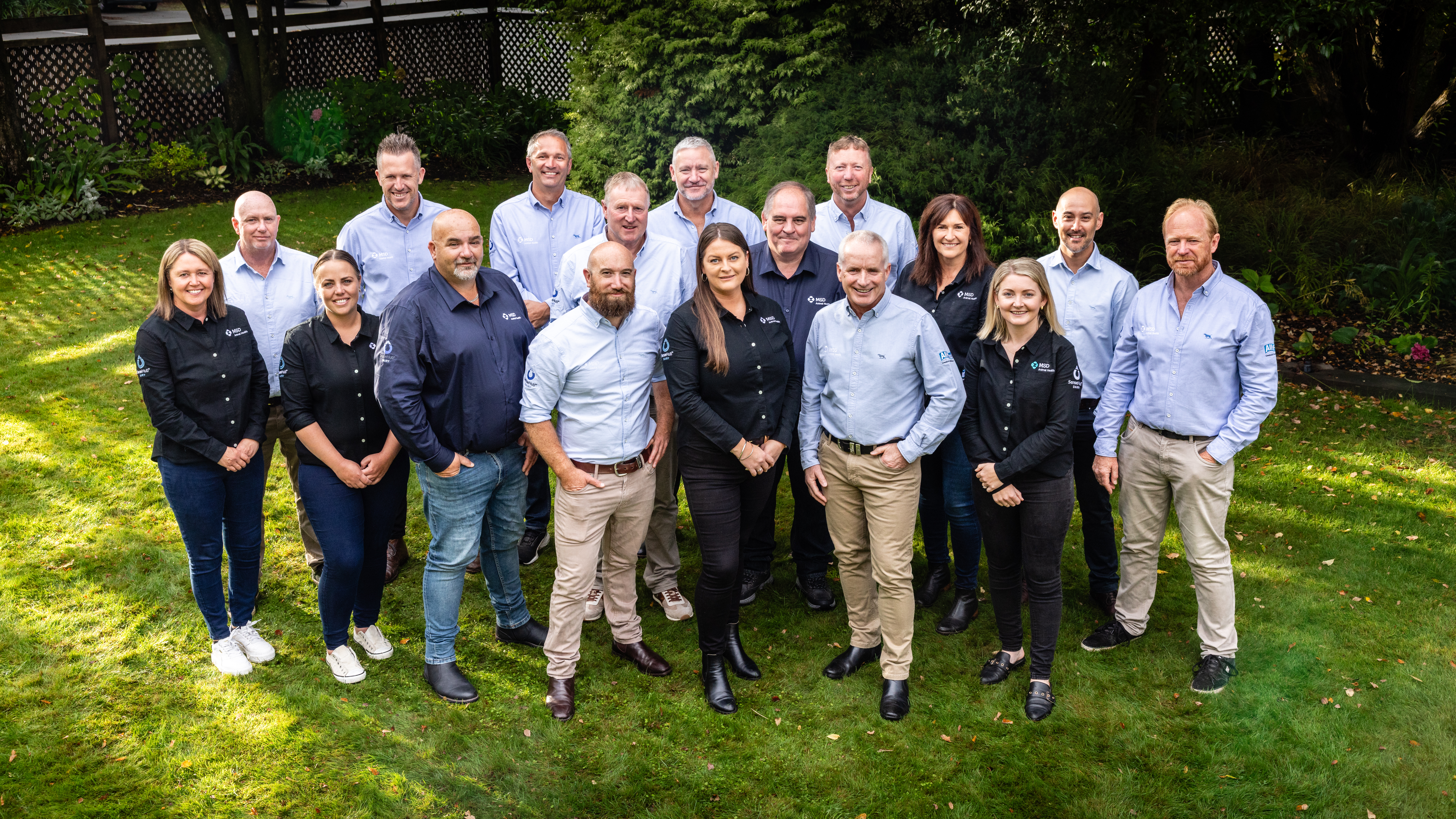 Protrack Drafting Gate - SenseHub Dairy